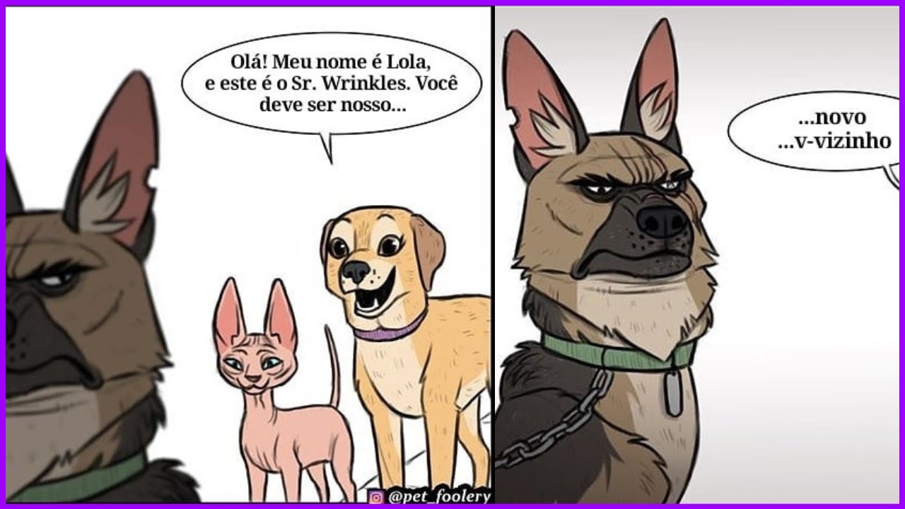 PIXIE E BRUTUS EM: BRUTUS CONHECEU NOVOS AMIGOS - TIRINHAS DUBLADAS - YouTube