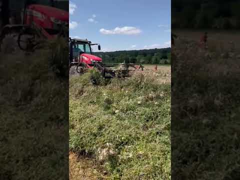 Faucheuse Andaineuse à Rabatteur Blé - SEMAS