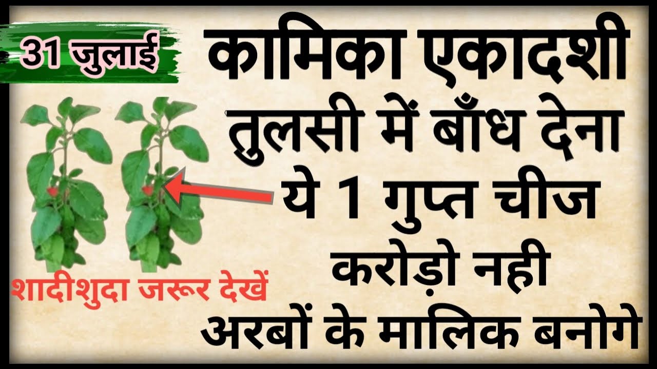 कल कमिका एकादशी के दिन तुलसी मे बाँध देना ये एक चीज इतना पैसा आएगा कि # ...