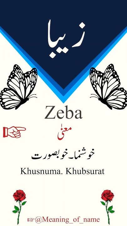 zeba name maana زیبا کے معنی۔ #song #whatsappstatus #new #shayari #love #viral #trending #urdu ...