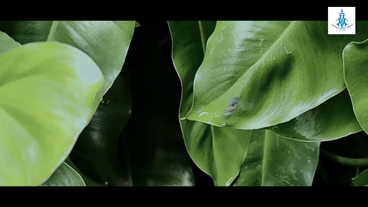 DROPLETS || ENTRY NO:27 || IVAN VARGHESE - YouTube