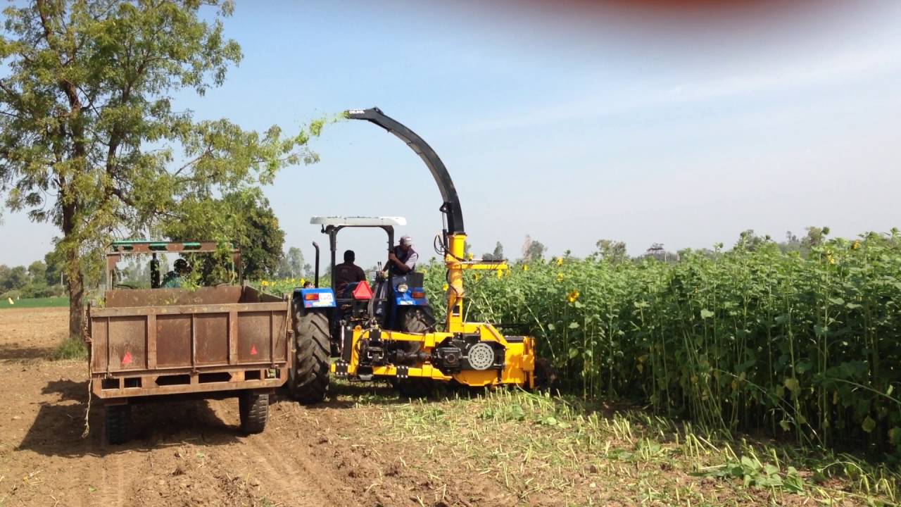 Row Free Harvester For Sunflower - YouTube