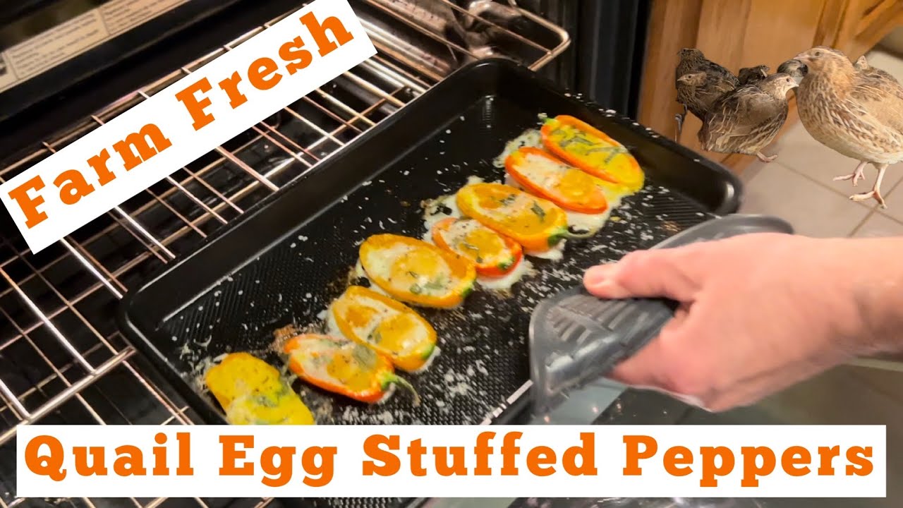 Quail Egg Stuffed Peppers | Farm Fresh Appetizer Recipe - YouTube