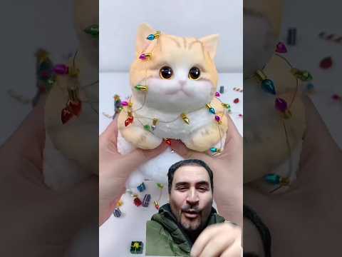 Yumuşak kediye süsler döktü😲😲#funny #funnyvideos