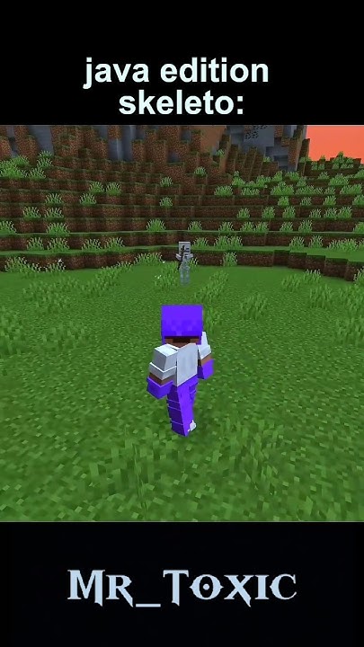 Minecraft Java and bedrock edition skeletal #minecraft#viral#shorts ...
