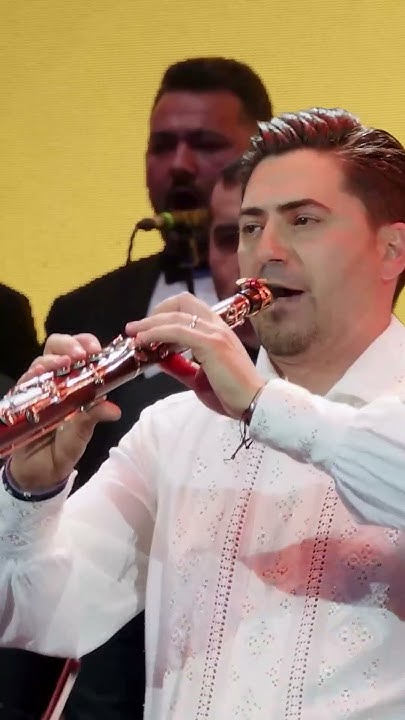 @RemusNovac💞CONCERT instrumental🎶Am ales cu inima - YouTube