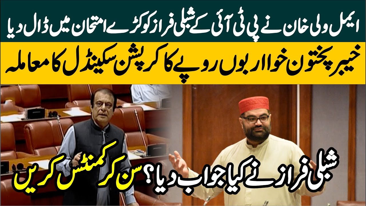 Aimal Wali Khan Fiery Speech In Senate Of Pakistan - Charsadda ...