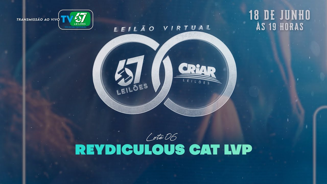 06 REYDICULOUS CAT LVP - YouTube