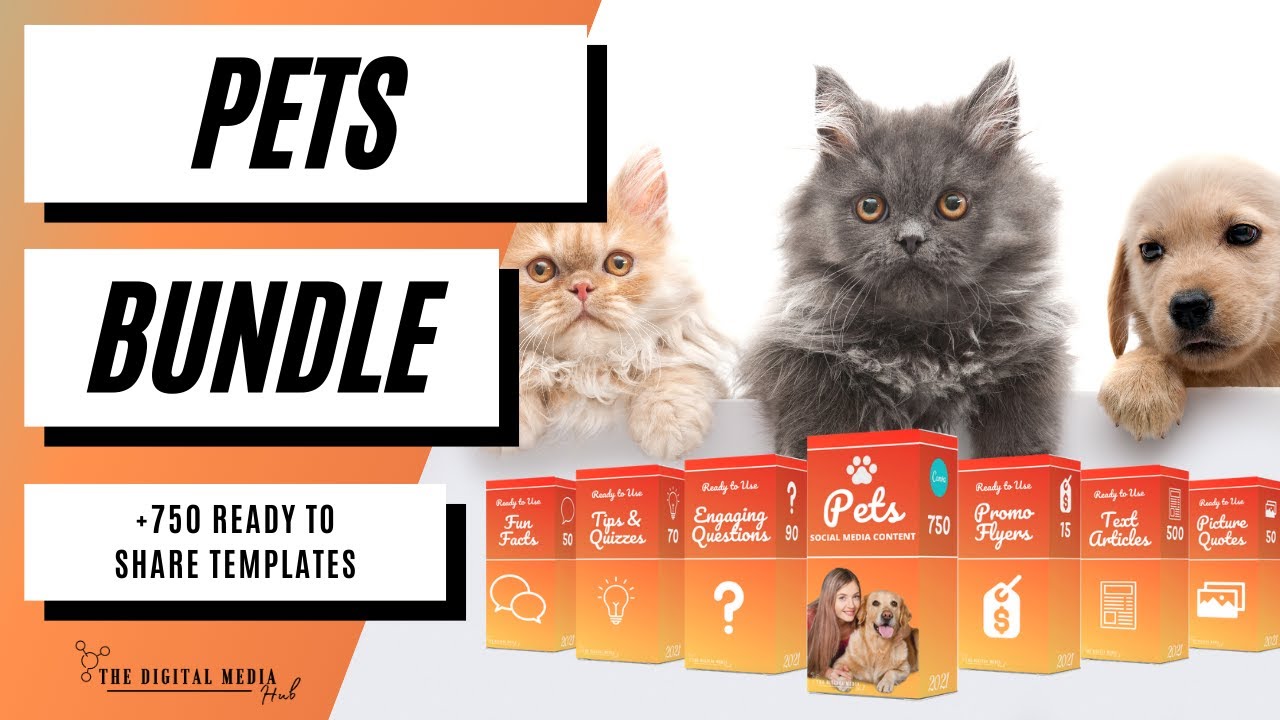 Pets Bundle - Discover 750+ Ready to Share Templates - YouTube