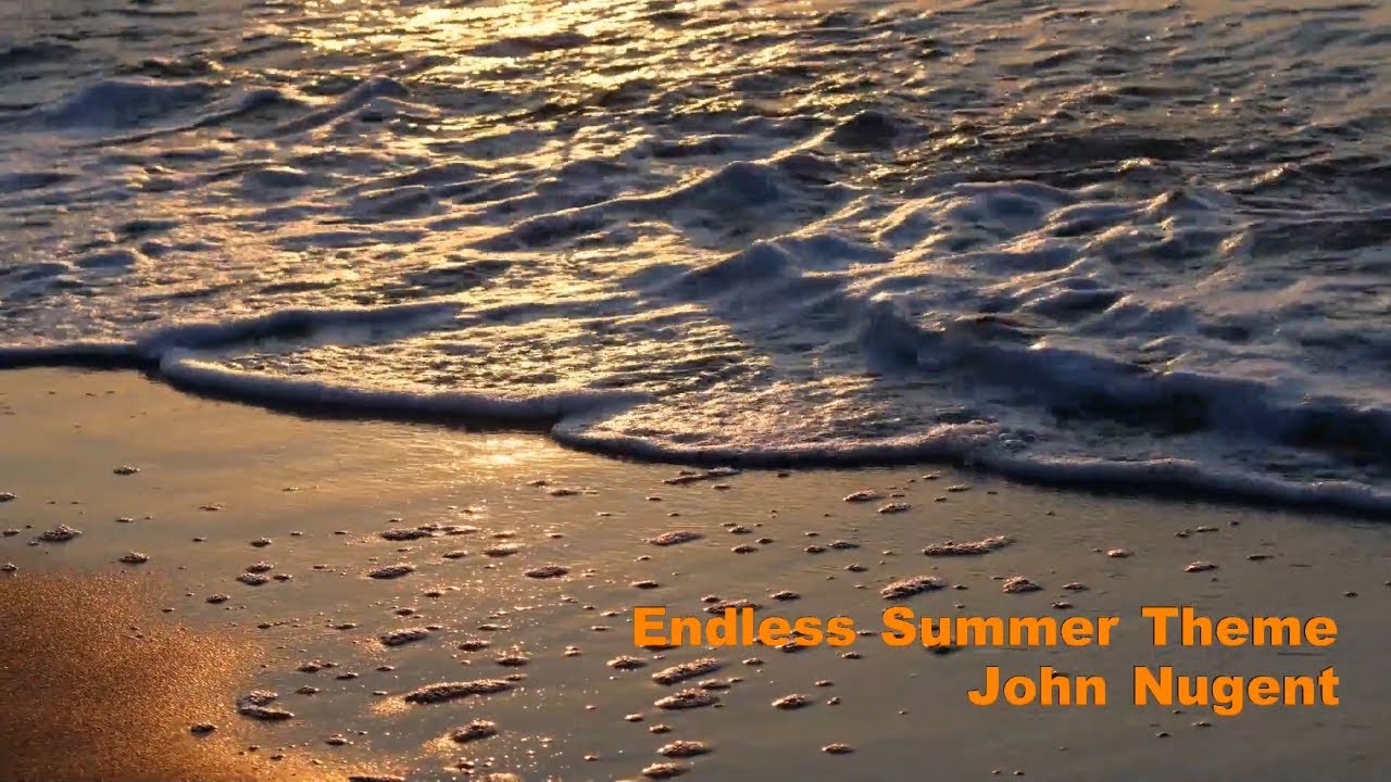 Endless Summer Theme - The Sandals - LIVE Cover - John Nugent - YouTube