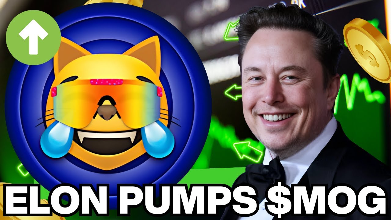 MOG COIN NEW ATH COMING!! ELON MUSK PUMPS $MOG! MOG COIN PRICE PREDICTION!! - YouTube
