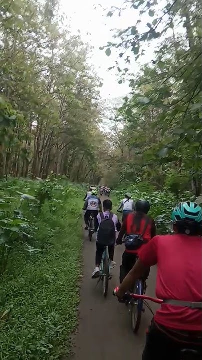 Gowes menyusur hutan - YouTube