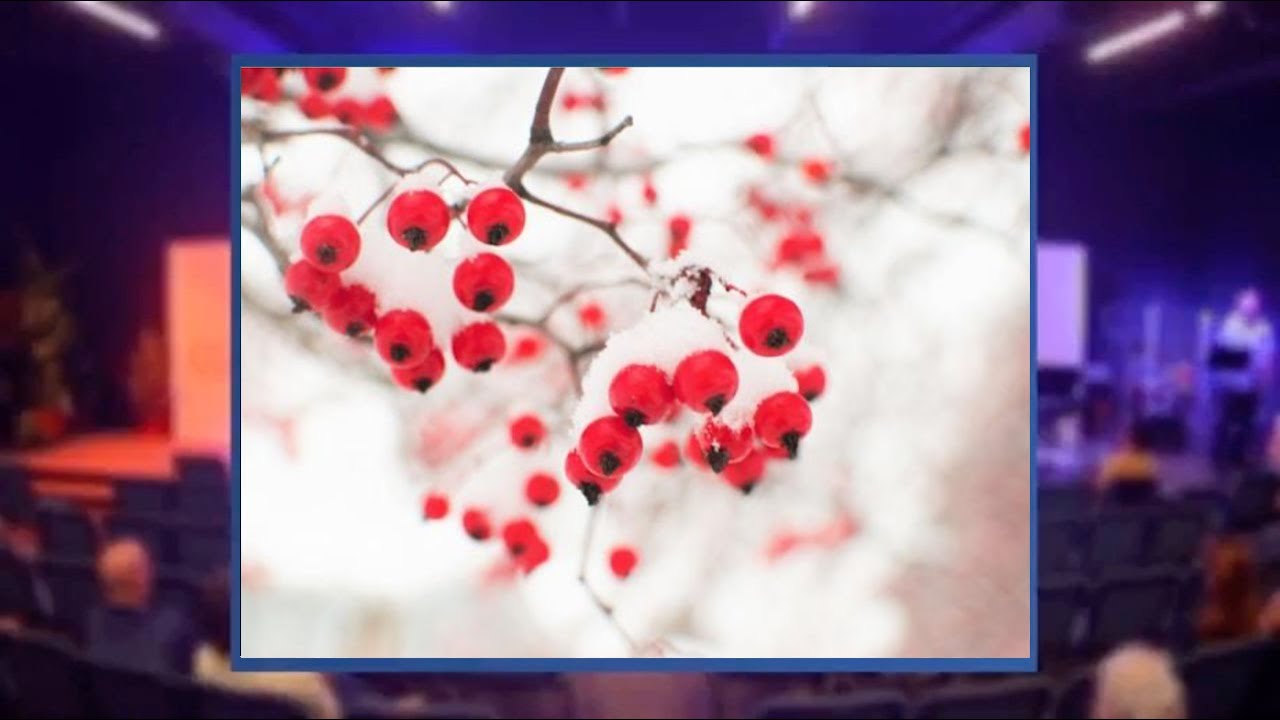 12/29/24 Live Stream — Principles of Unity - YouTube