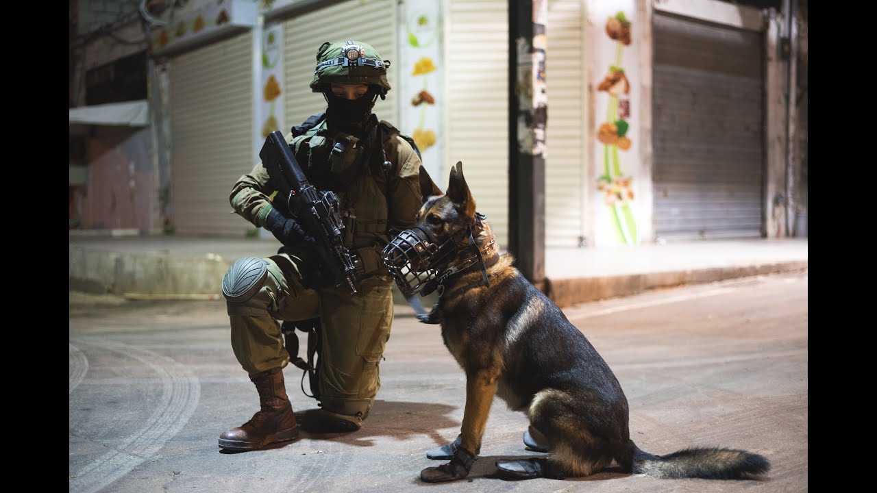 Oketz - IDF's K9 Unit - YouTube