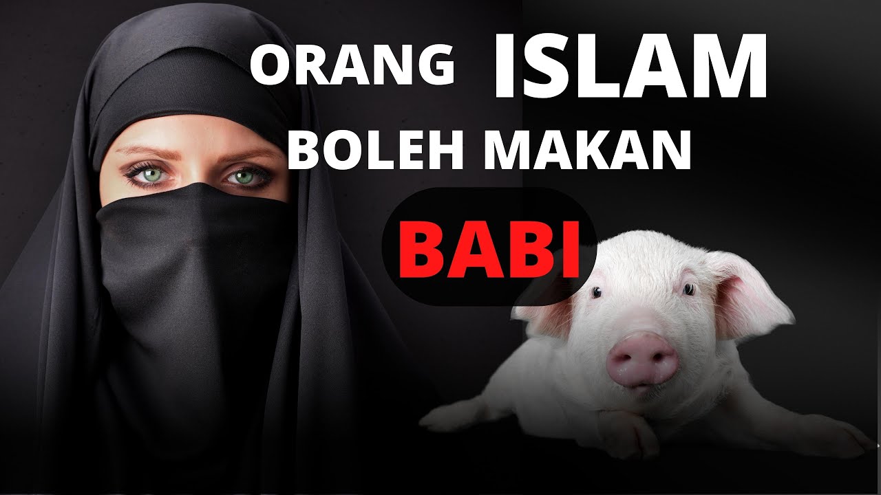 Umat Muslim Boleh Makan Daging Babi Asalkan Berada dalam Kondisi Ini ...
