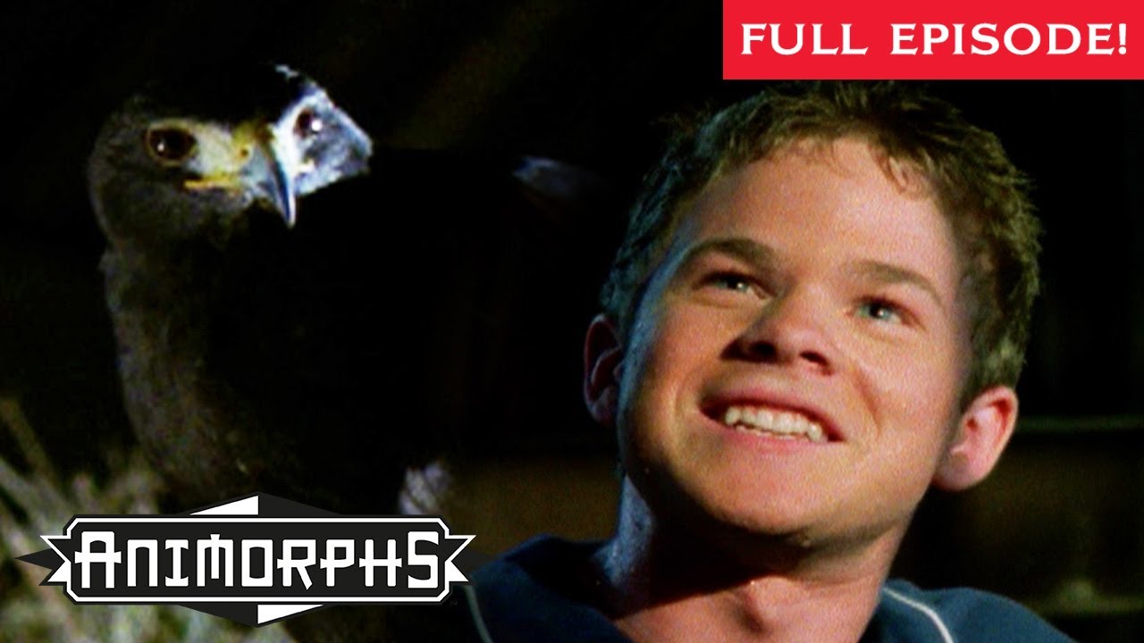 Animorphs Yeerk Pool Face Off | Seerowpedia | Fandom