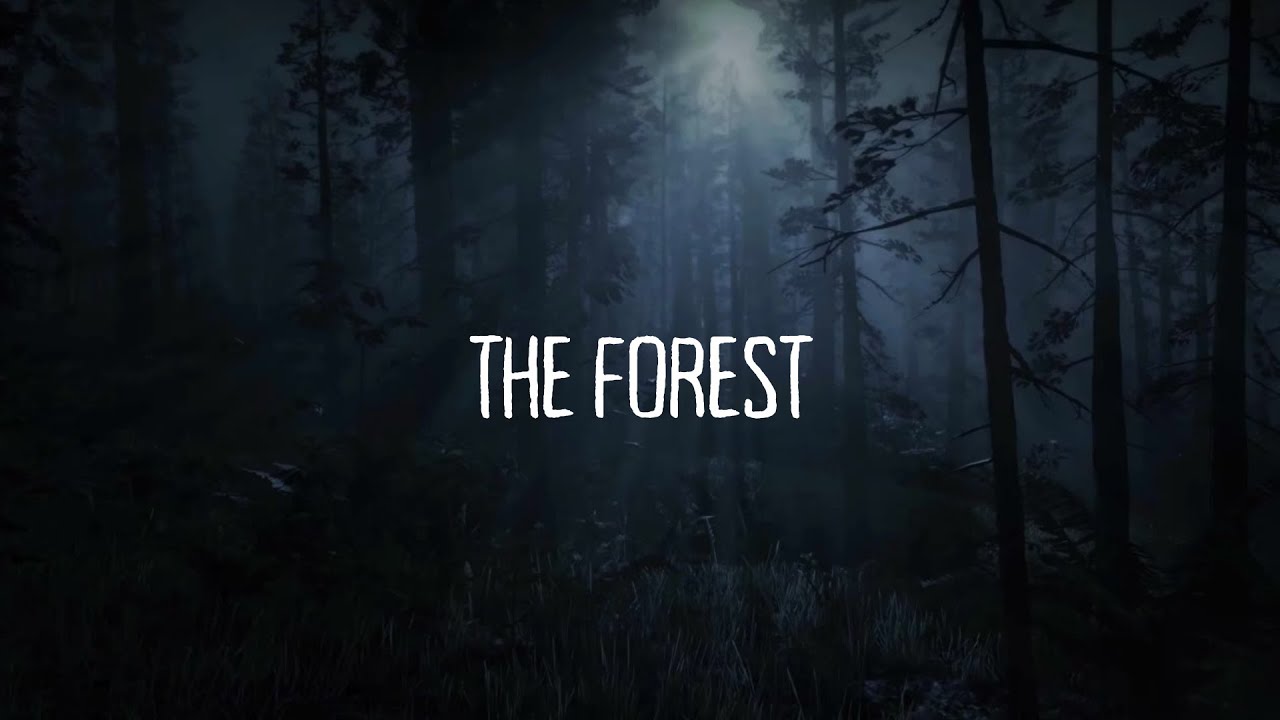 THE FOREST - SCARY VIBES, HALLOWEEN - HAUNTED - YouTube