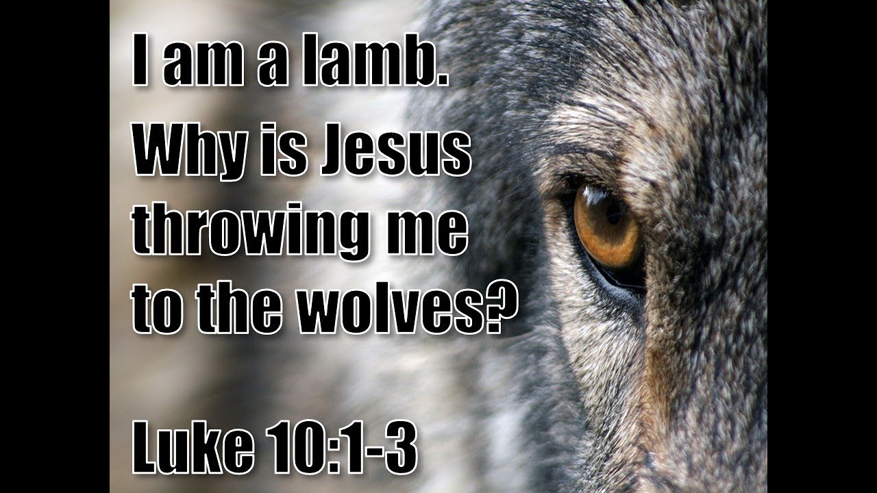 Lambs among wolves - YouTube