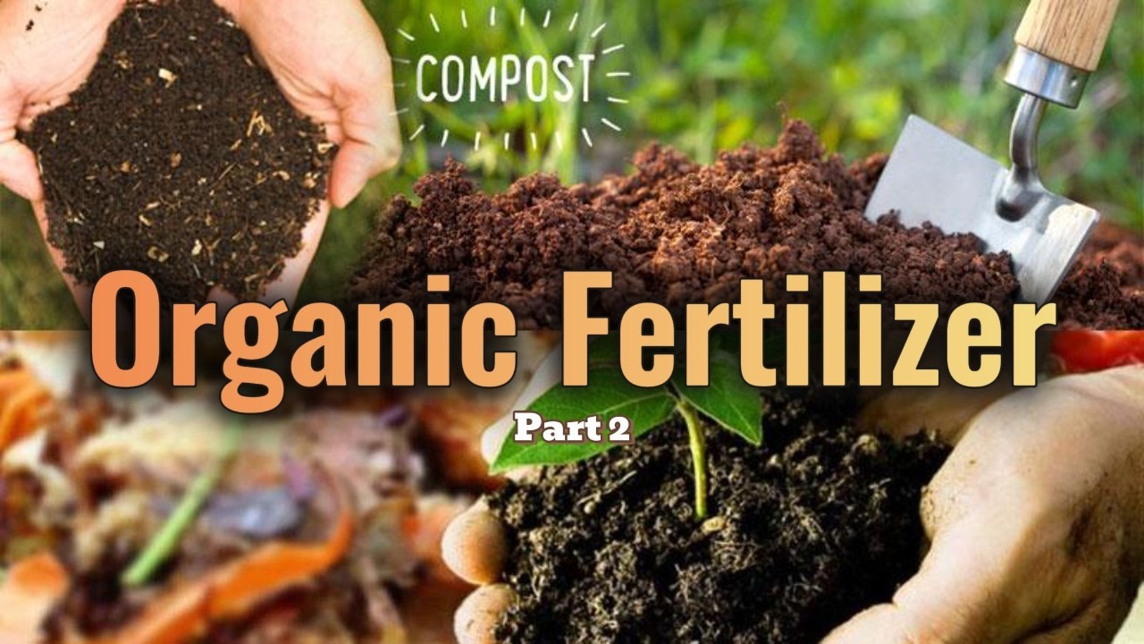 Organic Fertilizer - Composting | Part 2 - YouTube