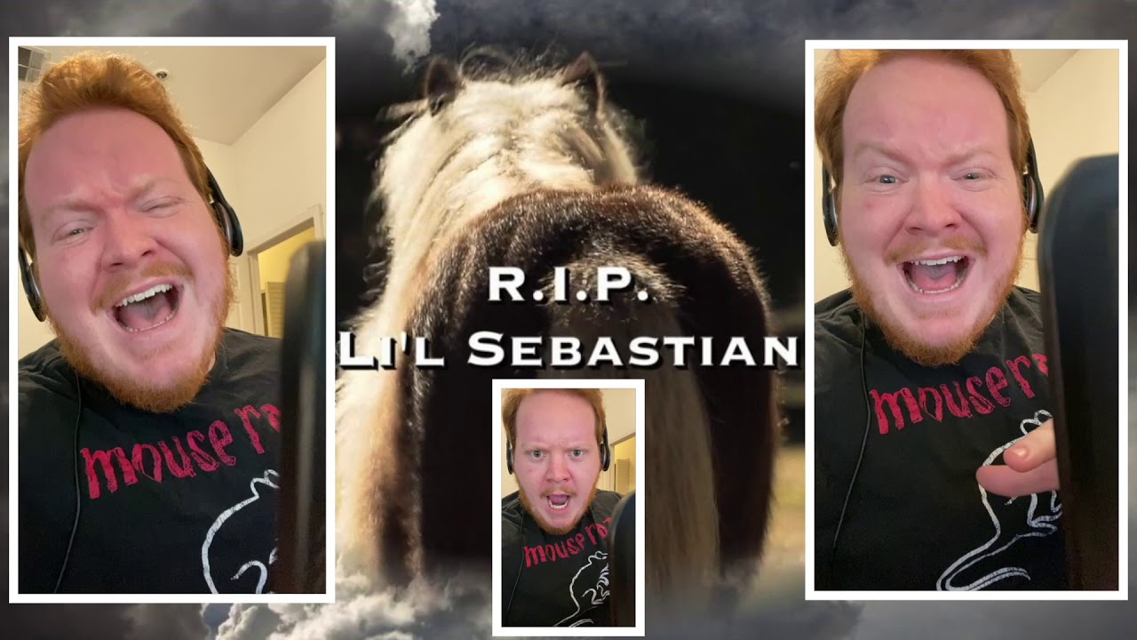 R.I.P Lil Sebastian - YouTube