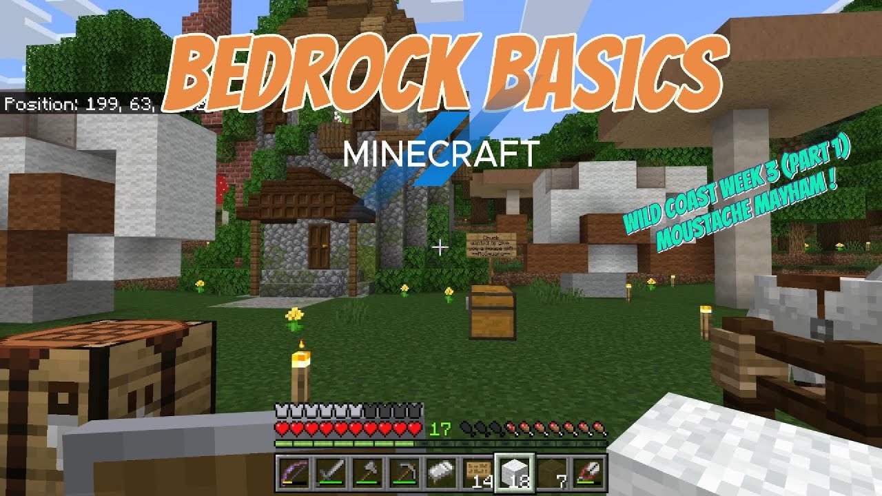 Bedrock Basics, Wild Coast Week 3 (part 1) MOUSTACHE MAYHAM ! - YouTube