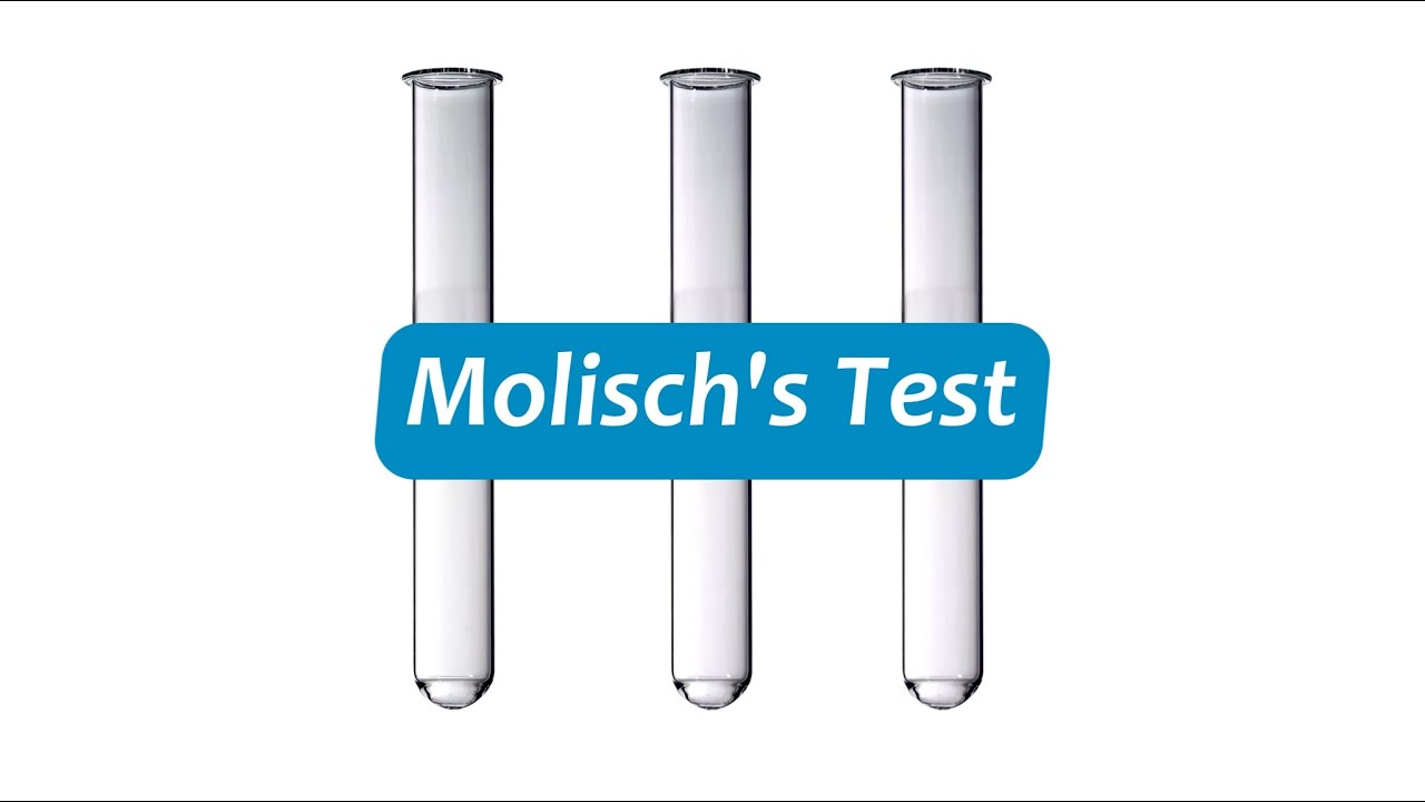 Molisch's Test - YouTube