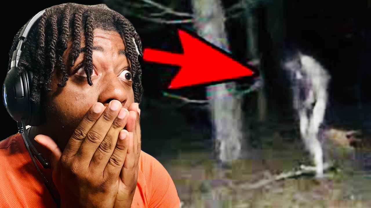 5 Mysterious Creatures Caught On Camera : Top 5 STRANGE Creatures | Reaction - YouTube