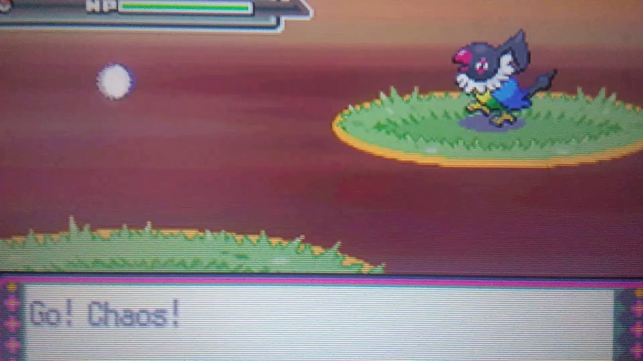 The Best Cry of Chatot - YouTube