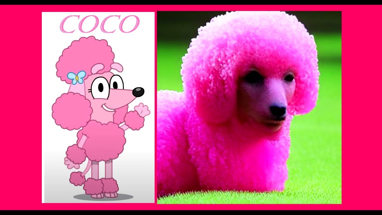 Bluey In Real Life 💥 Characters, PART 1 👉 @KEBUSAER - YouTube