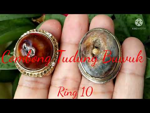 Mantap!!! Natural Combong Asli Tudung Buwuk Yang Fenomenal, Pilih Yang Masih Sempit Atau Yang Besar