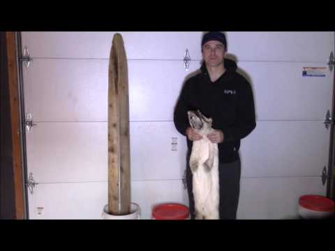 Last Final Steps - Tanning hides using C4-Outdoors Varmint 48 Home ...