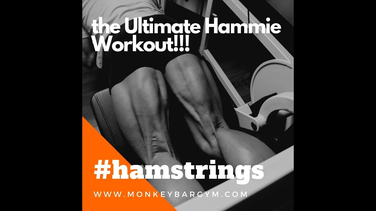 the ULTIMATE HAMMIE WORKOUT!! - YouTube