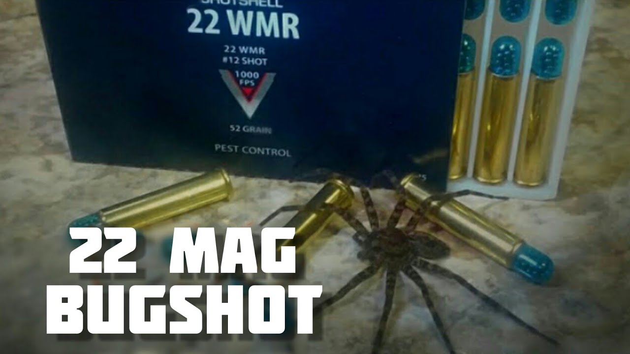 Shooting spiders with 22 Magnum shotshells - YouTube