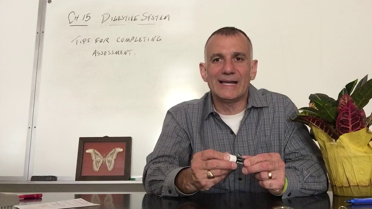 Mr. Spano A&P Chapter 15 Digestive System lecture #5 - YouTube