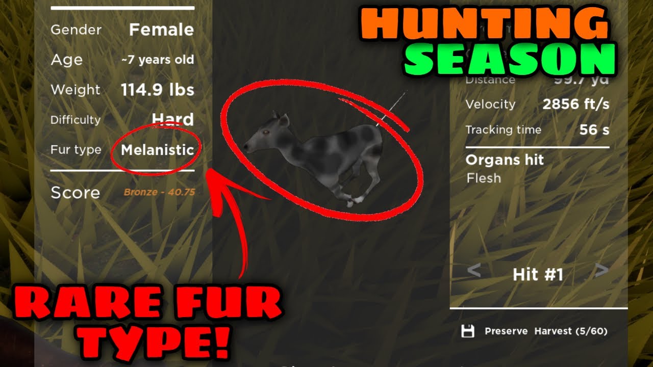 ROBLOX | Hunting Season | My First Rare Fur Type! (Melanistic) - YouTube