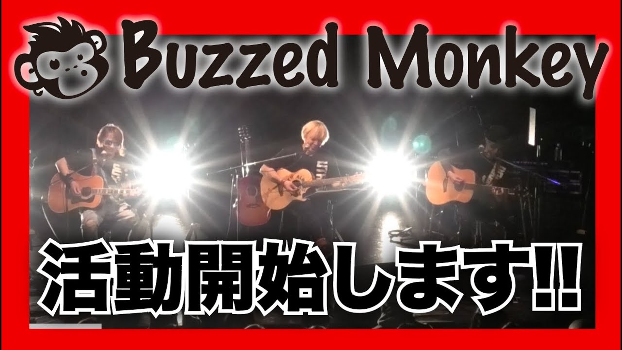 Buzzed Monkey 活動開始します！ 編 Vol.78 - YouTube