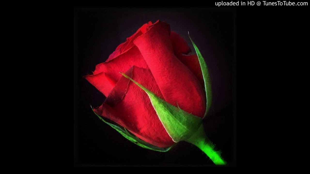 Free Roses Juice Wrld Type Beat Prod T Bolt Youtube