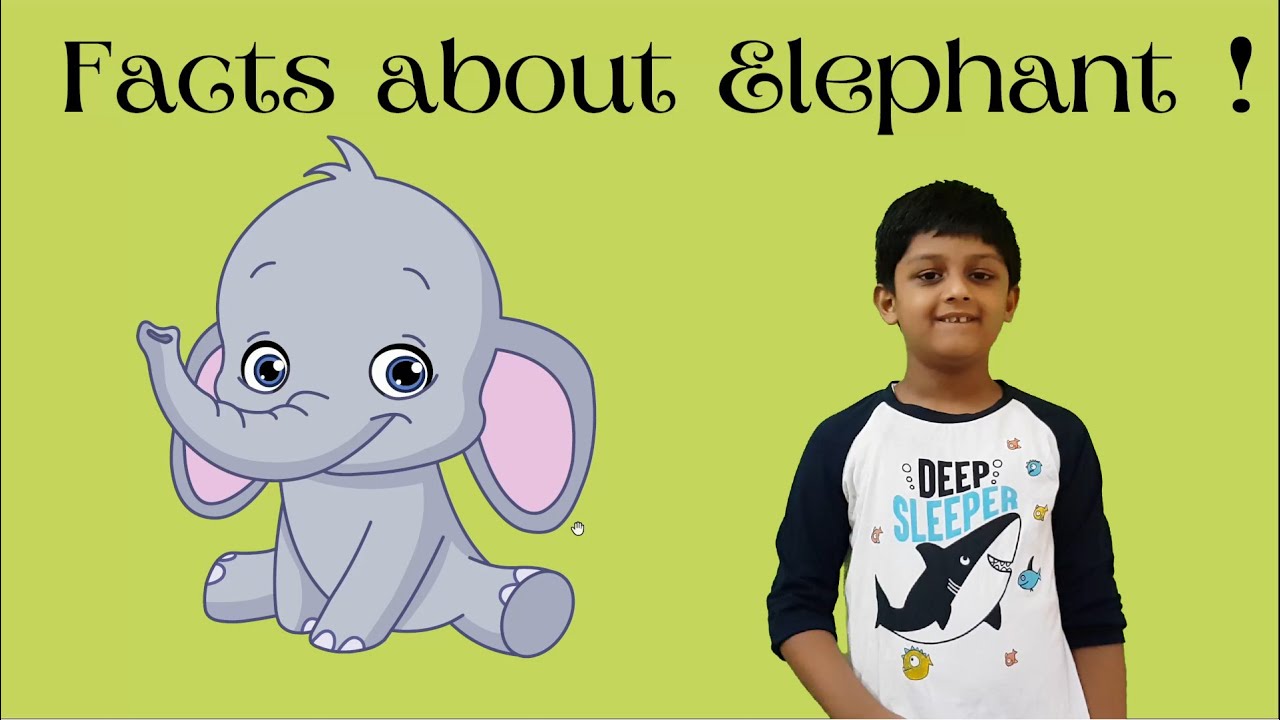 Fun facts about Elephants for Kids | Trivia Time - YouTube