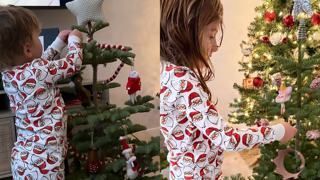 Buddy Danielson and Birdie doing CHRISTMAS DECORATION!!! - YouTube