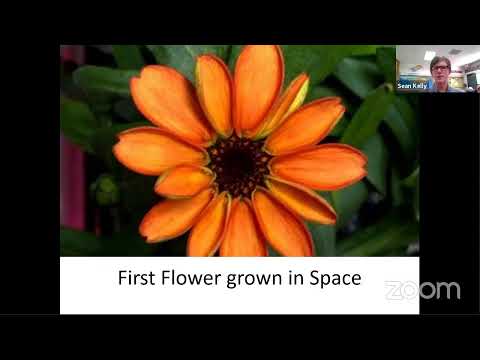 About Dr. Sean Kelly - YouTube