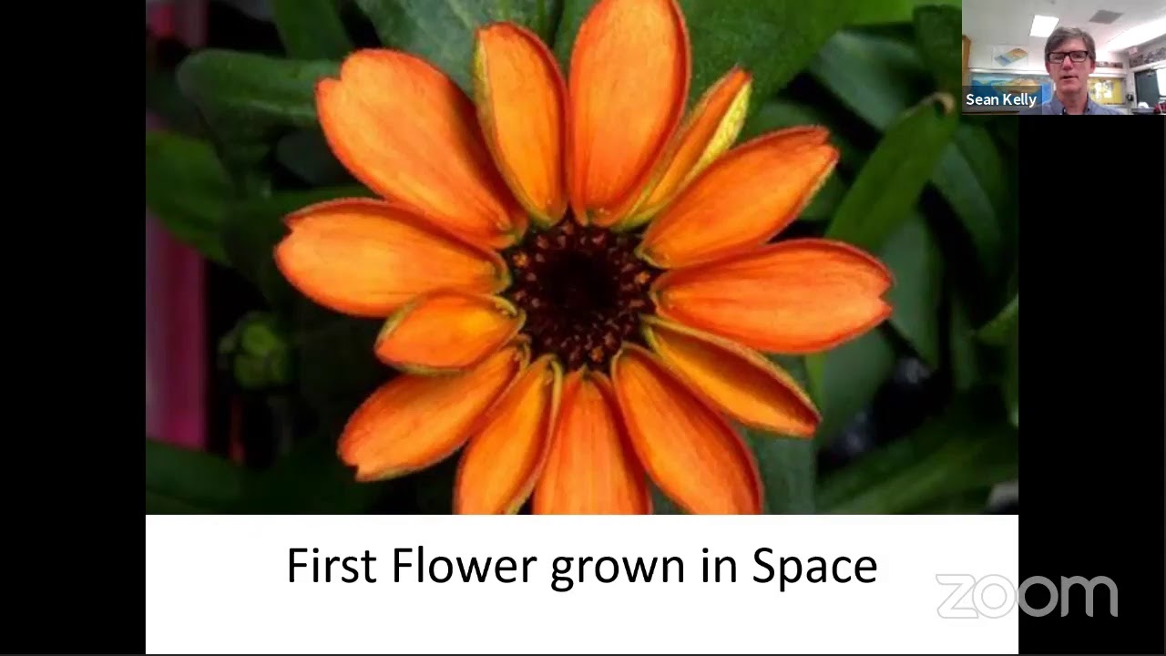 About Dr. Sean Kelly - YouTube