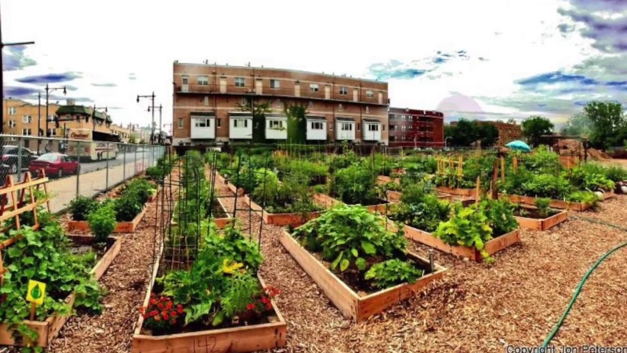 Community Gardens of Erie, PA - YouTube
