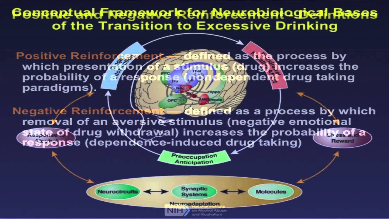 Dr. George Koob, Director of the National Institute on Alcohol Abuse ...