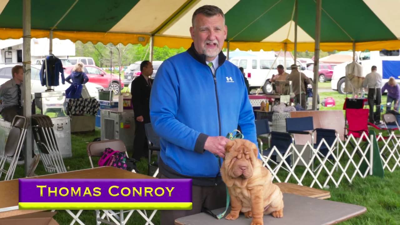 Road to Westminster (RTW): THOMAS CONROY TALKS TRAINING - YouTube