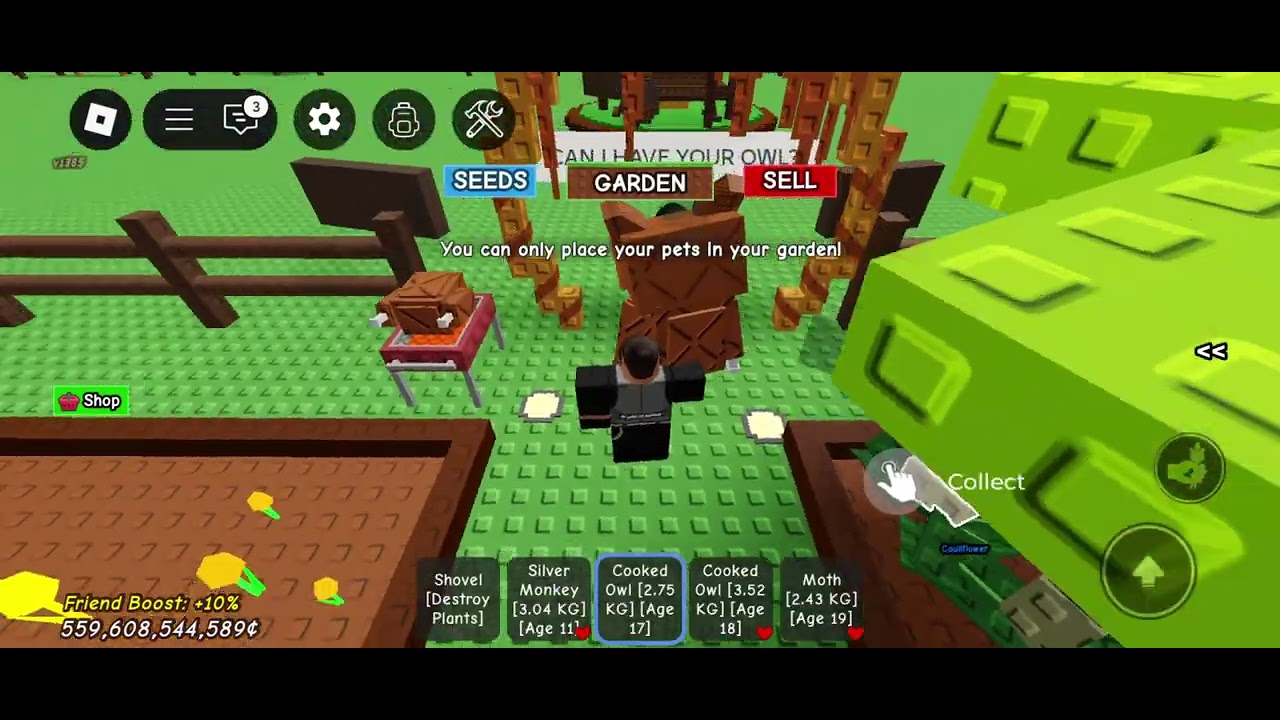 GIVING MOTH AND 2COOKED OWL FROM MY COMMUNITY IN ROBLOX GIVEAWAY - YouTube
