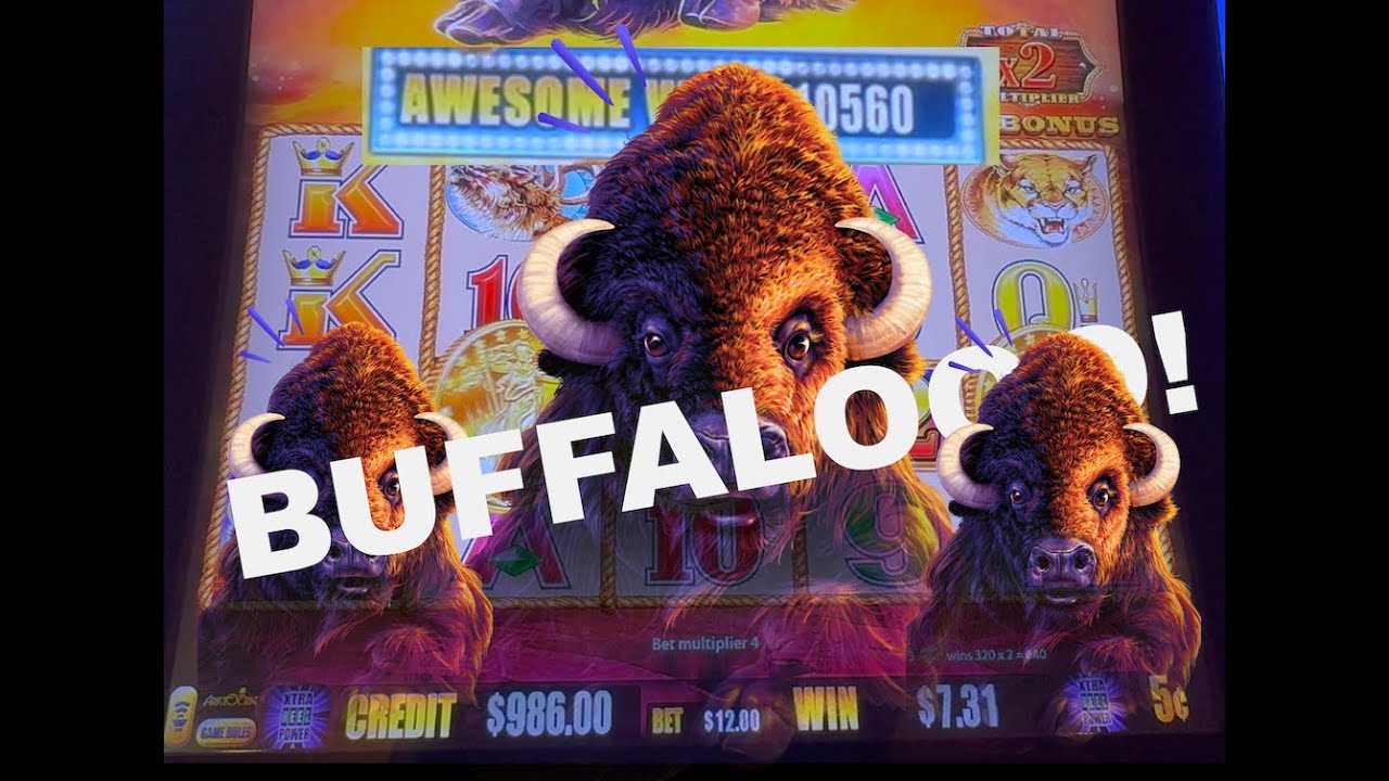 Incredible Buffalo Gold Slot Machine! Massive Bonus Win With Tons Of ...
