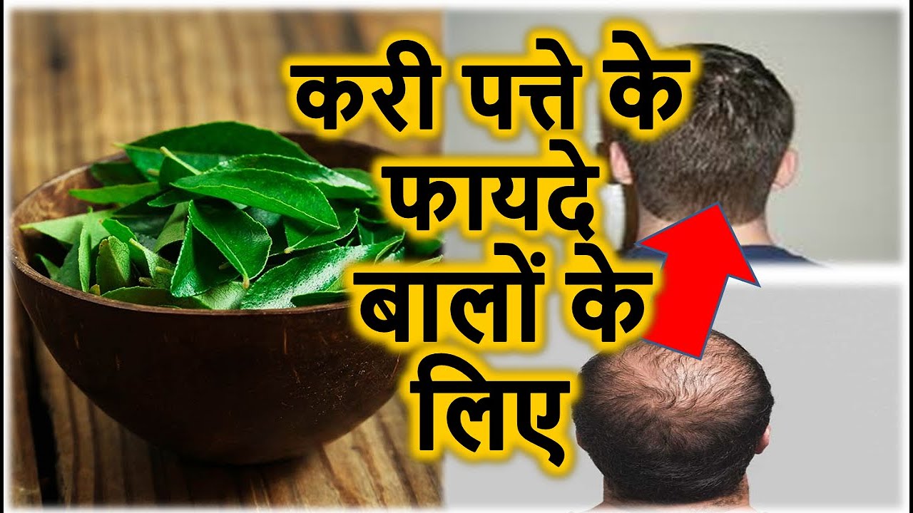Kadi Patta For Hair in Hindi। करी पत्ते के फायदे । Benefits of Curry ...