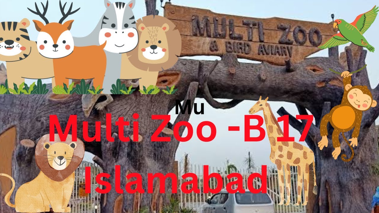 Multi Zoo B-17 Islamabad school visit | Latest zoo visit | best Zoo in ...