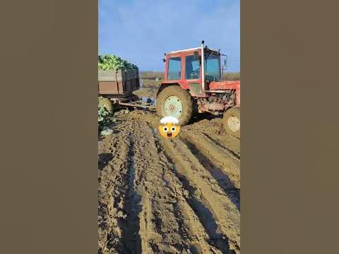 Stuck Mtz #мтз892 #мтз80 #мтз82 #мтз1221 #т40 #т25 #сільськежиття # ...