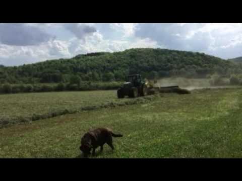 Merging alfalfa with roc merger. - YouTube